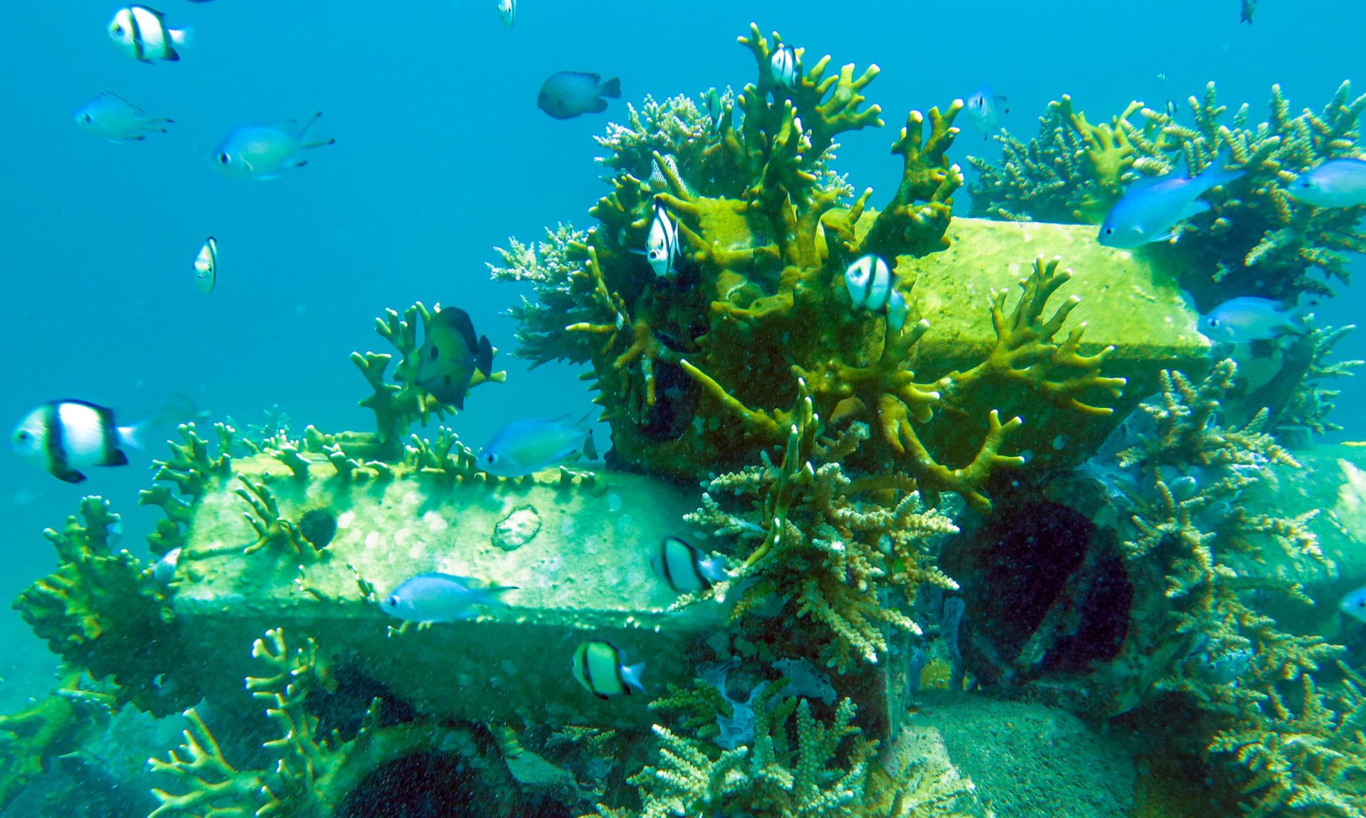 Boskalis Horizons: Pulau Tekong: Singapore’s First Polder